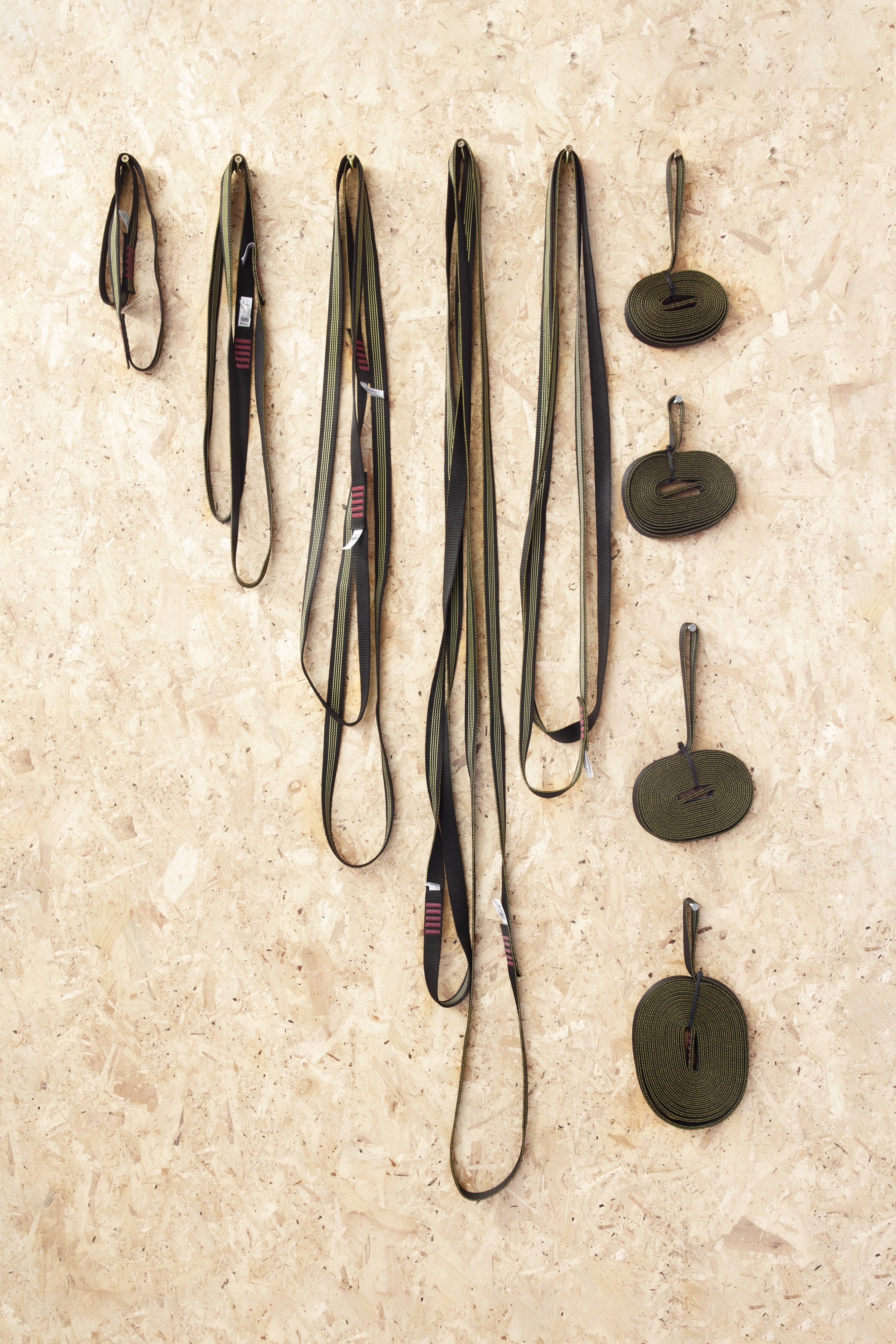 Lyon - Nylon Sling 25mm – Dick's Climbing