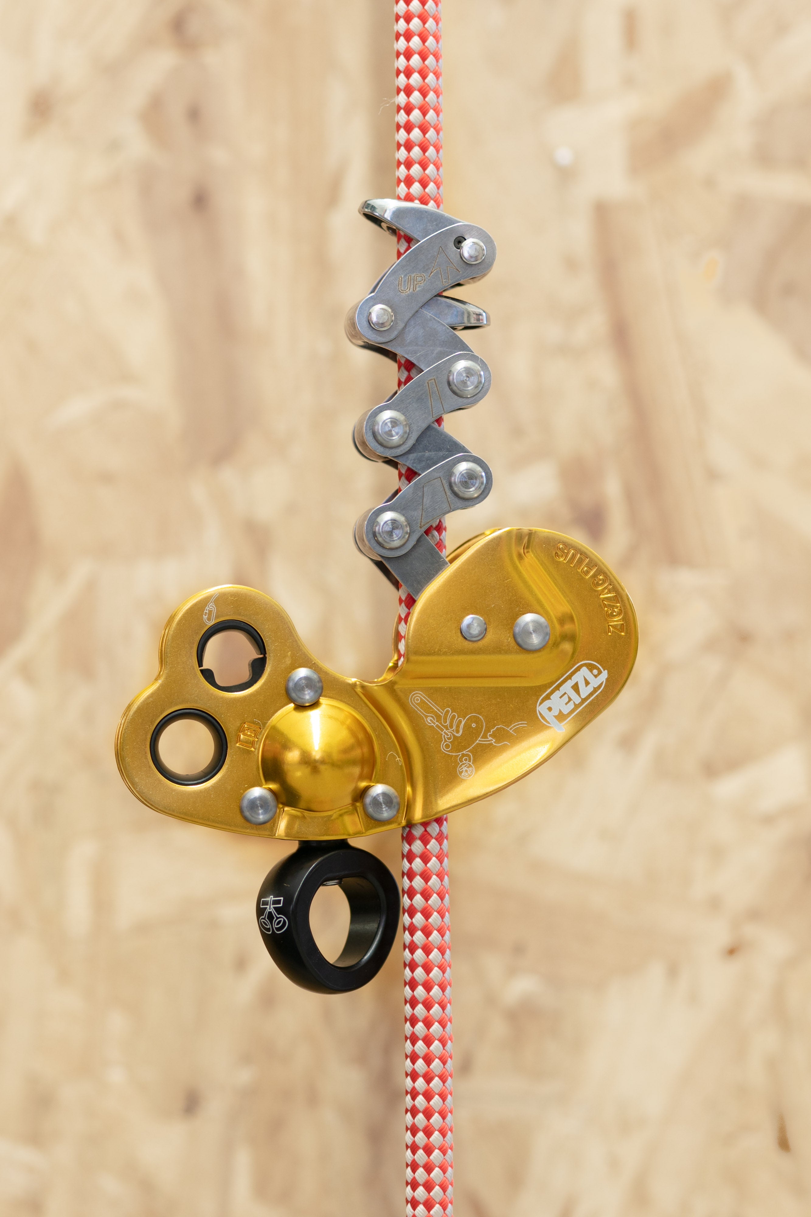 Petzl - Zigzag Plus – Dick's Climbing